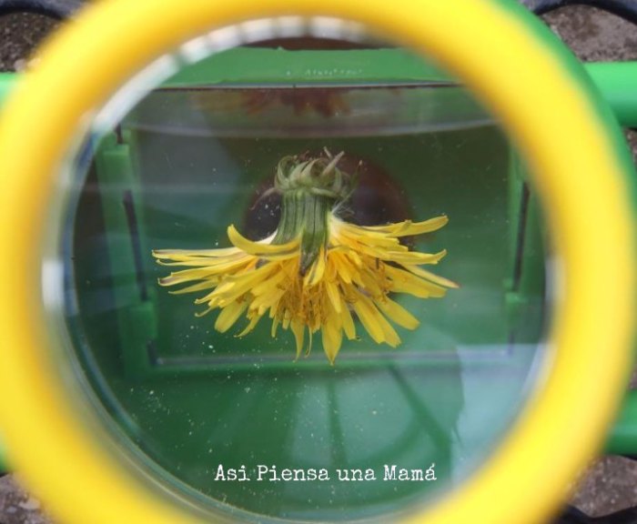 Ciencia en casa | Asi piensa una mamá